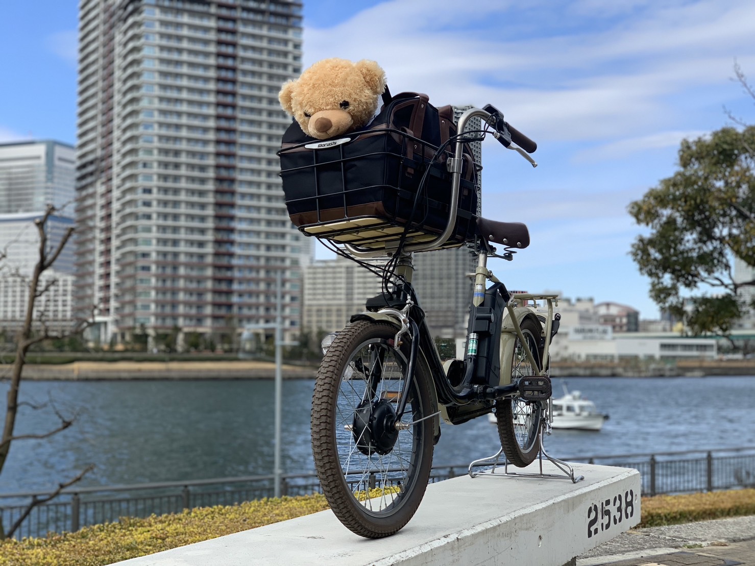 在庫情報！【丸石 ペットポーターアシスト】 | COGGEY