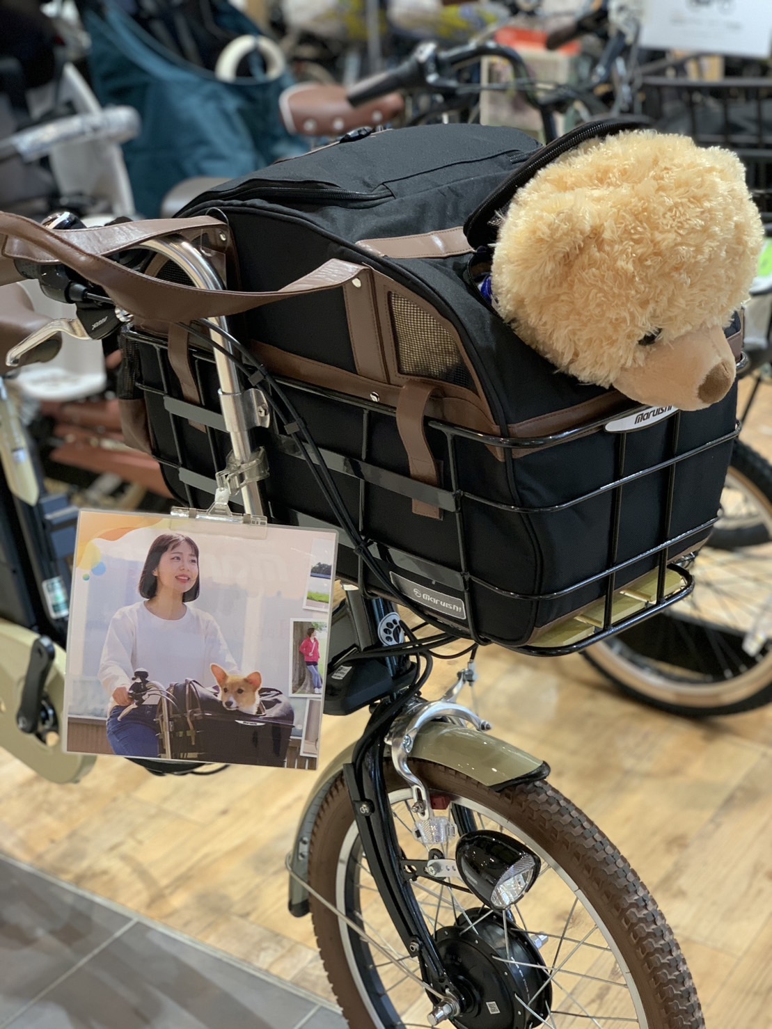 在庫情報！【丸石 ペットポーターアシスト】 | COGGEY