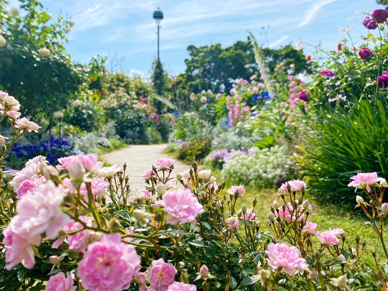 ガーデンネックレス横浜 2023 | COGGEY